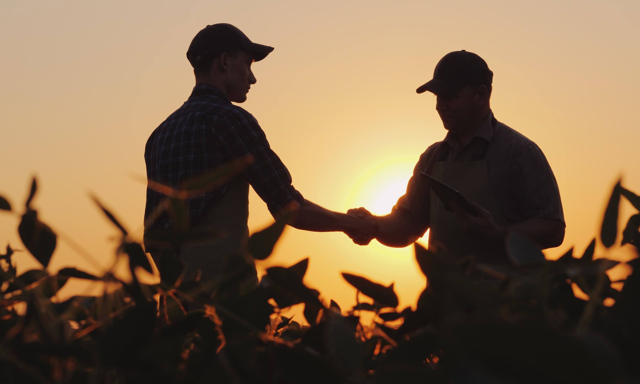 Interest Rebate Program | Feeder Associations of Alberta