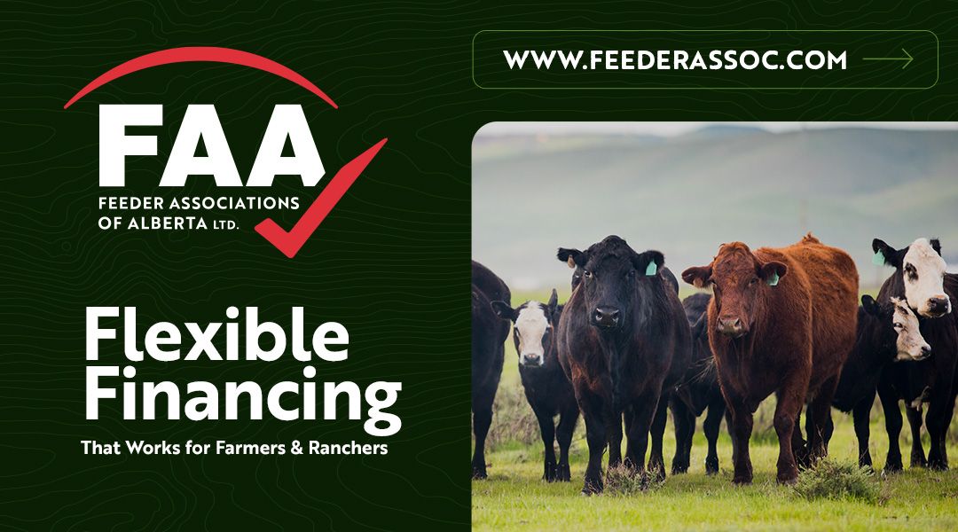 Find Your Local Feeder Associations | Loans for Cattle